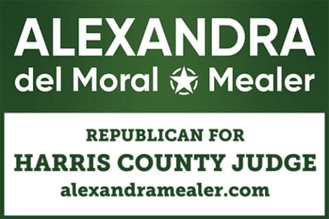Alexandra Mealer For Harris County Judge